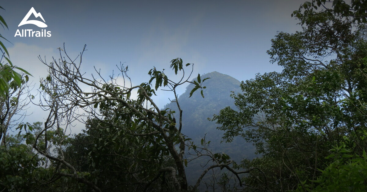 Best hiking trails in Kandy | AllTrails