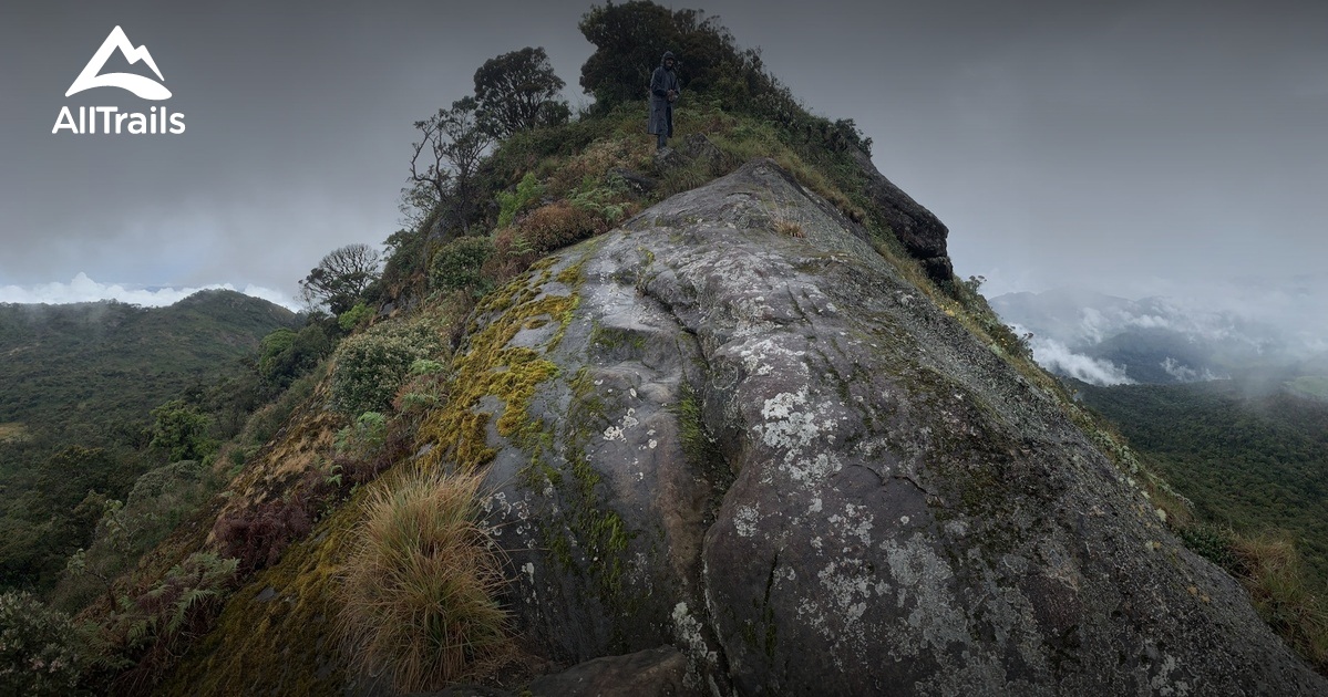 Best hikes and trails in Dayagama | AllTrails