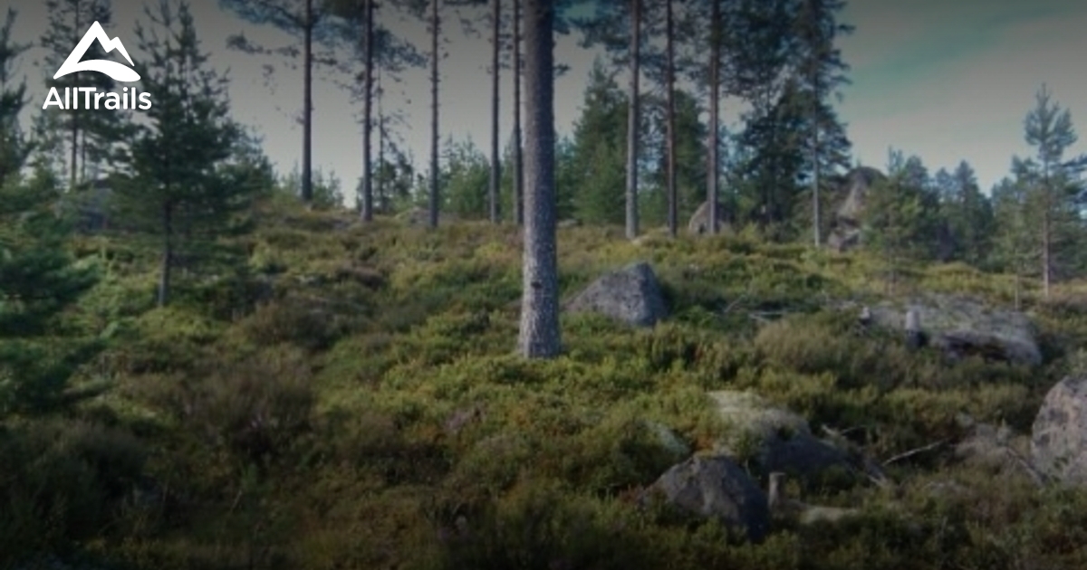 Best hikes and trails in Malung | AllTrails