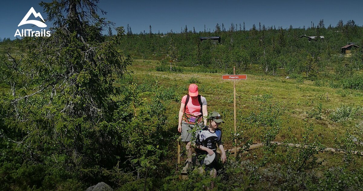 Best moderate trails in Vemdalen | AllTrails