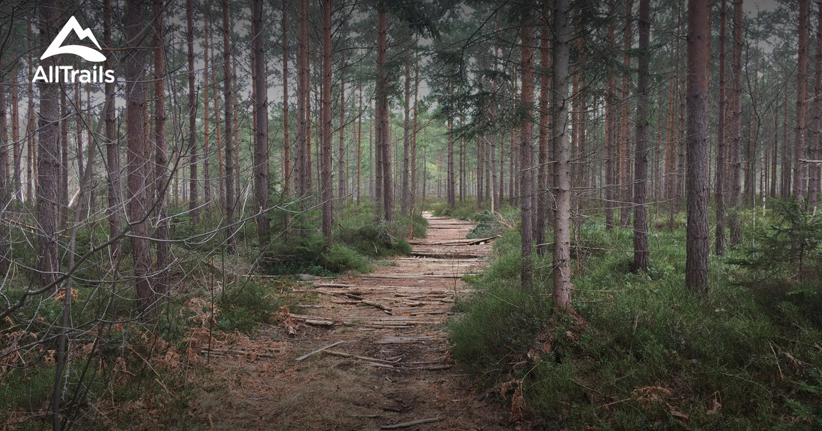 De 10 bästa lederna och vandringarna i Loftahammar | AllTrails