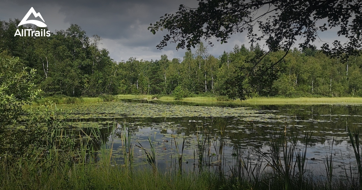 Best hikes and trails in Orrefors | AllTrails