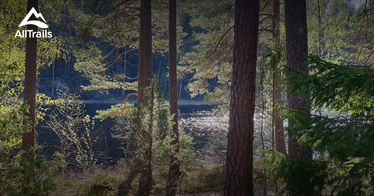 10 Best bird watching trails in Tived | AllTrails