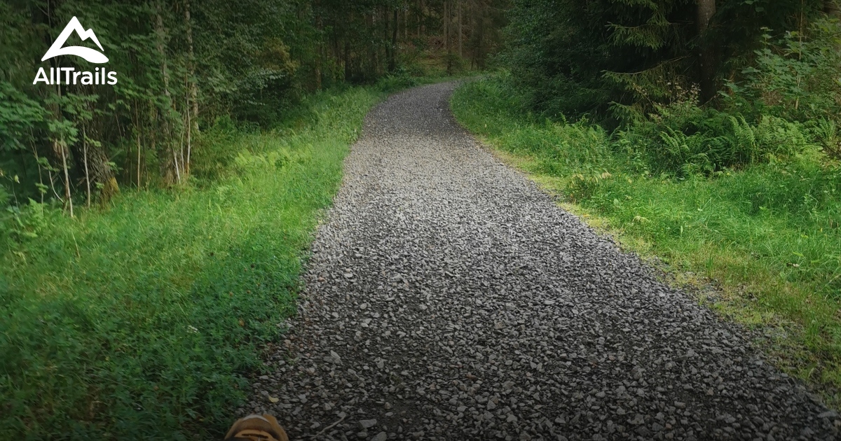 Best bird watching trails in Borensberg | AllTrails