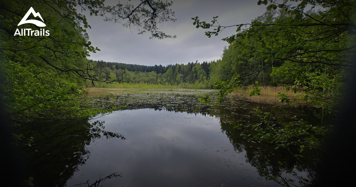 De beste routes voor honden aan de lijn in Borghamn | AllTrails