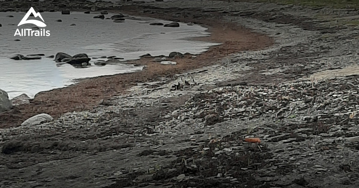 Best Camping Trails in Borrby | AllTrails