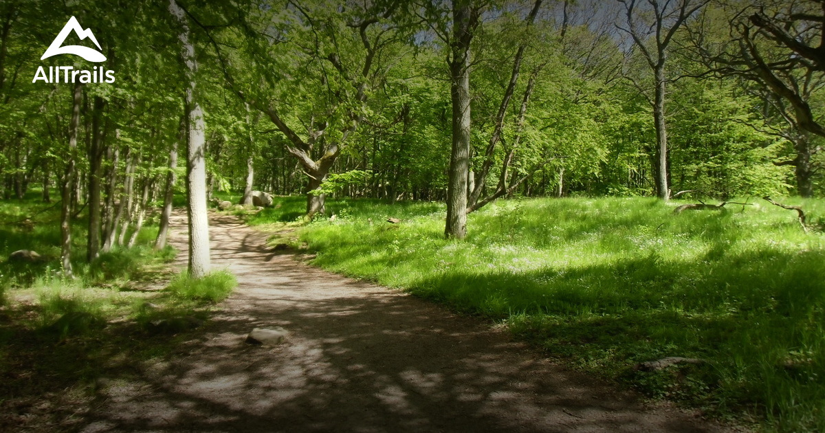 Best Beach Trails in Kivik | AllTrails