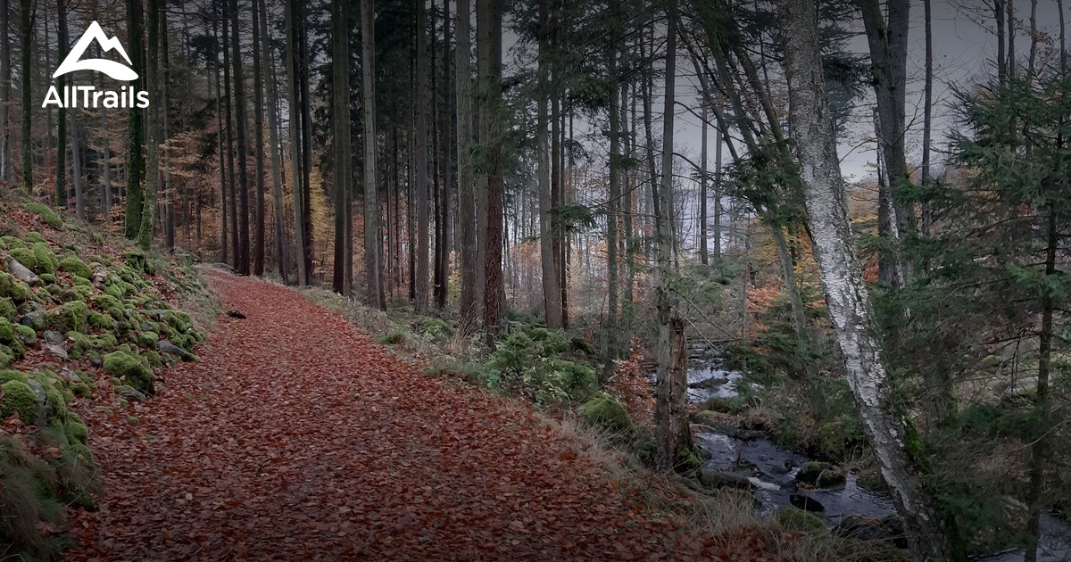 De beste routes langs historische bezienswaardigheden in Munka | AllTrails