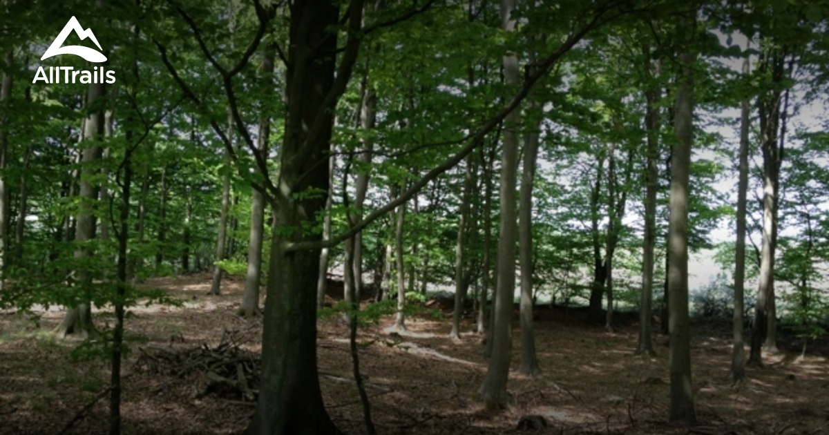 10 Best forest trails in Svedala | AllTrails