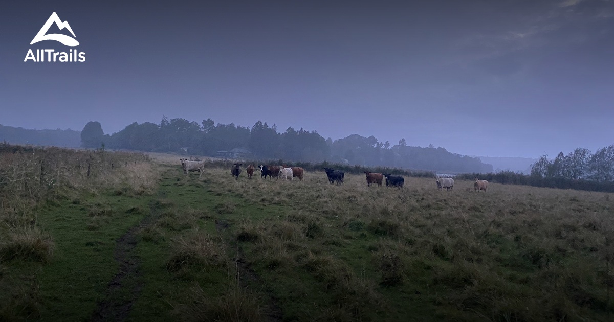 Best hikes and trails in Mörkö | AllTrails