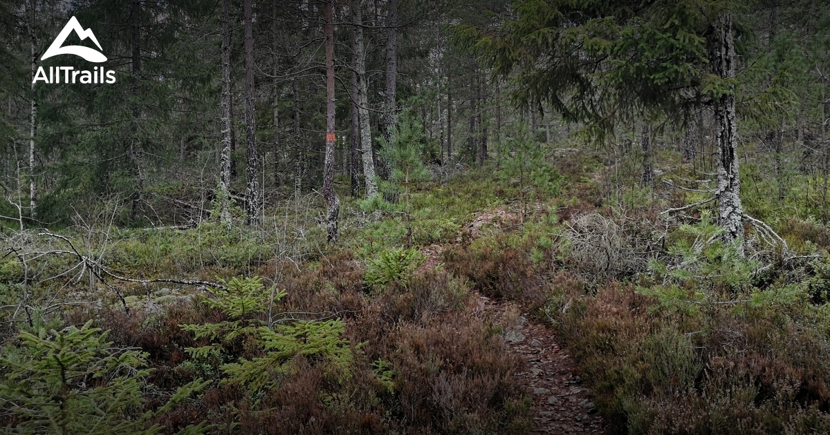 Best cross-country skiing trails in Södertälje | AllTrails