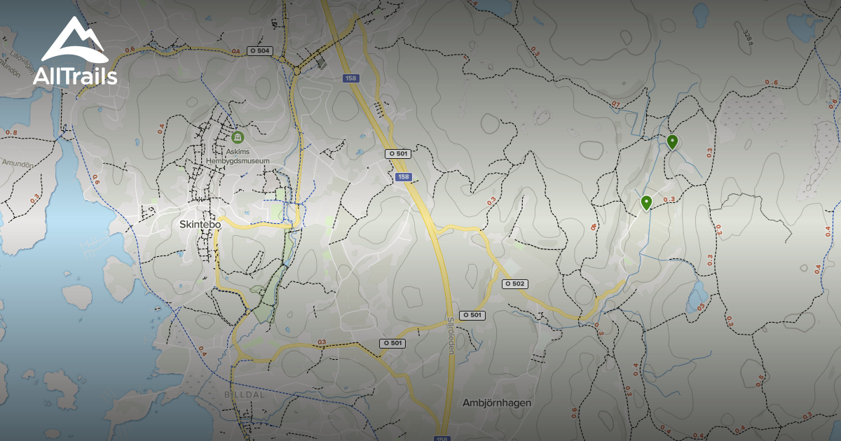 Bästa skogslederna i Billdal | AllTrails