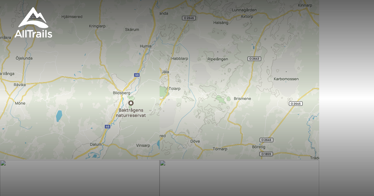 Los mejores senderos largas en Blidsberg | AllTrails