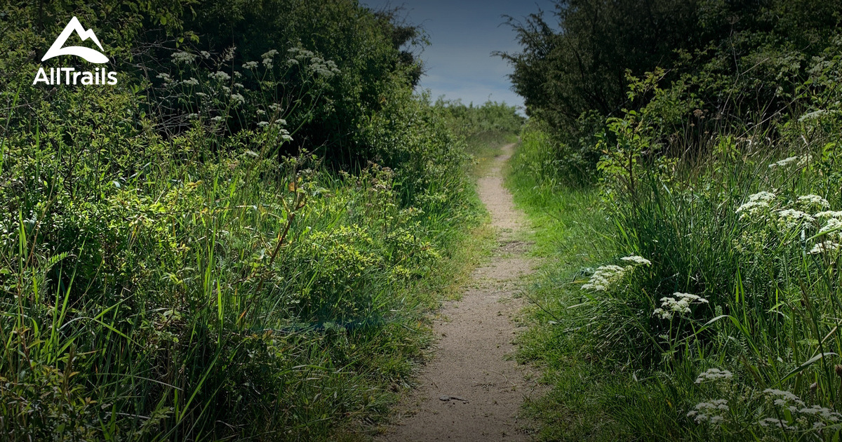 10 Best Trails, Walks, and Paths in Grebbestad | AllTrails