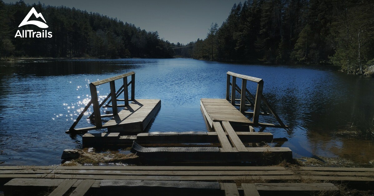 10 Best forest trails in Gunnilse | AllTrails