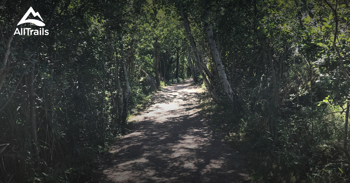 Best dogs on leash trails in Hälsö | AllTrails