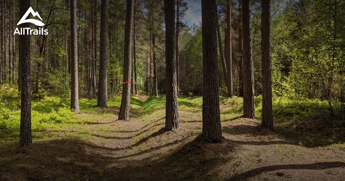 Los mejores senderos largas en Nossebro | AllTrails