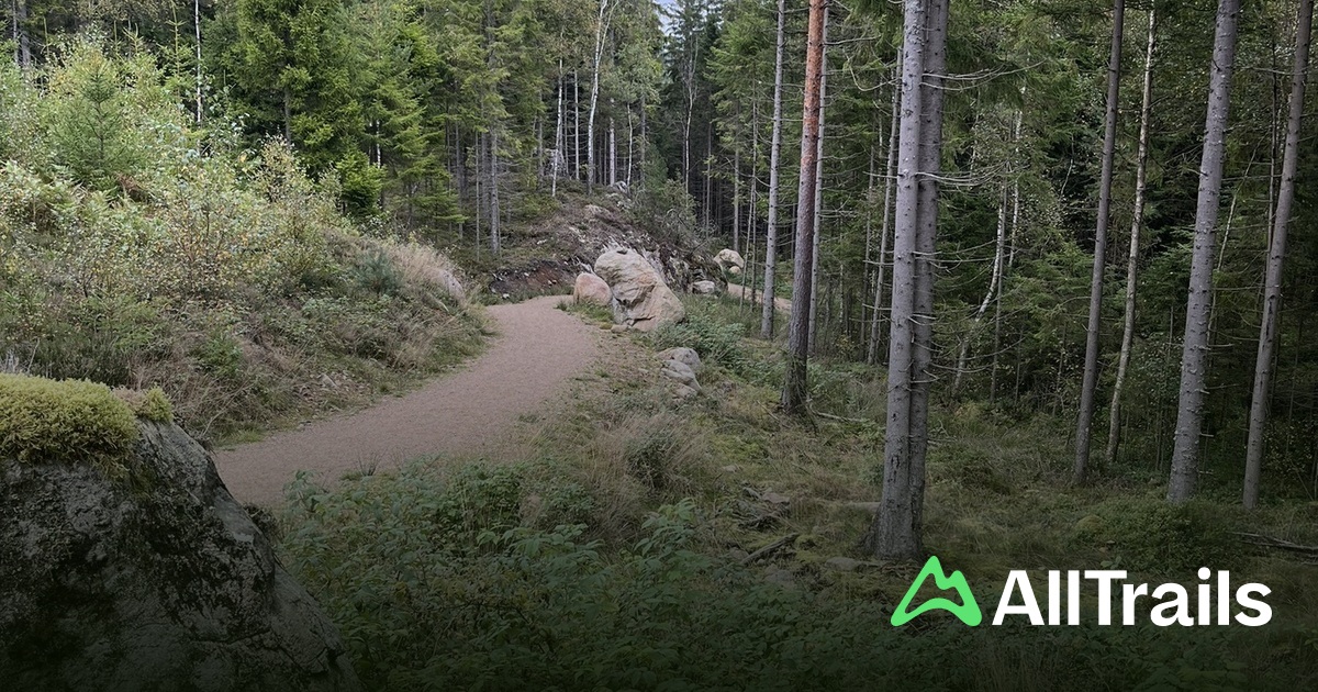Best forest trails in Överlida | AllTrails