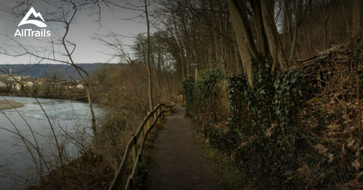 Bästa fågelskådningslederna i Baden | AllTrails