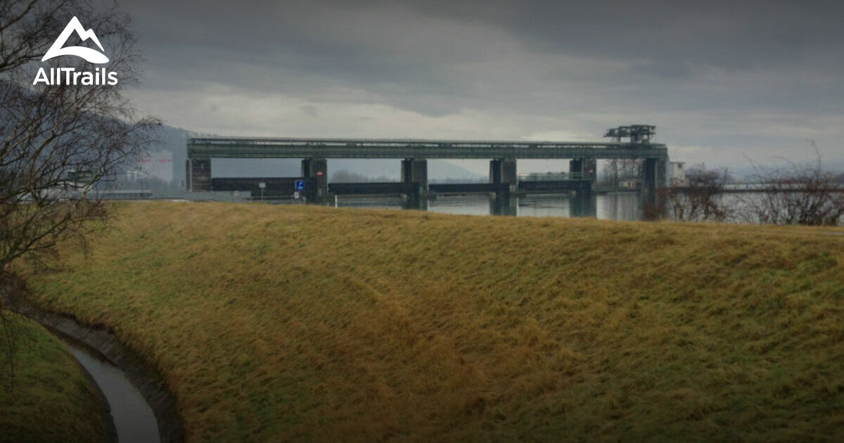 Best hikes and trails in Kaisten | AllTrails