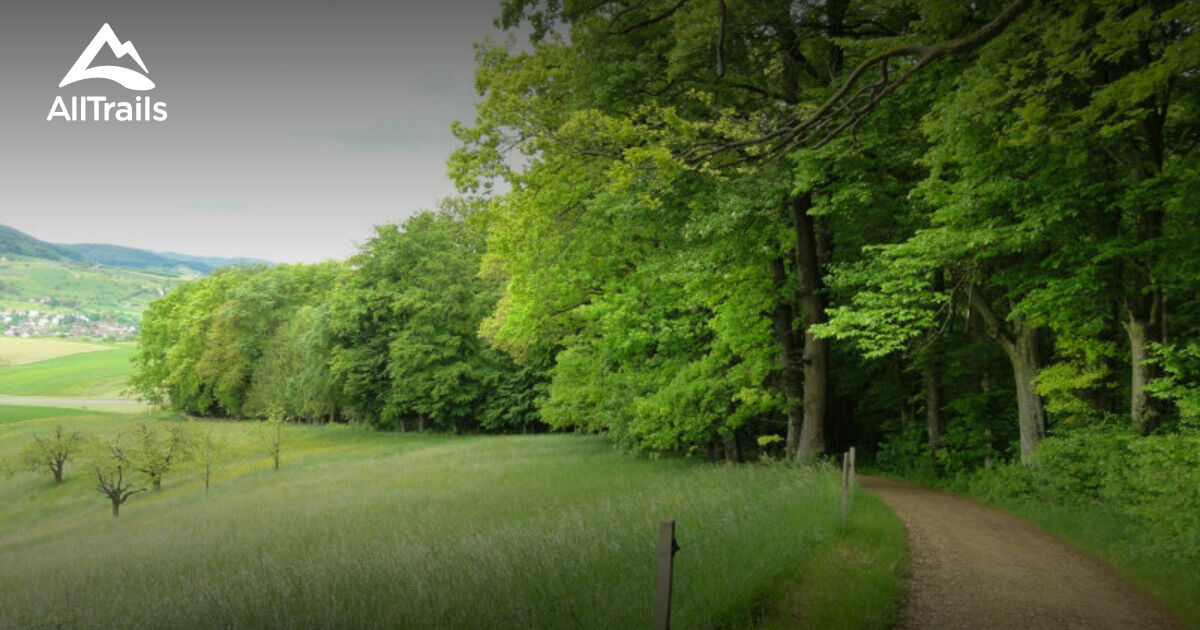 10 Best forest trails in Magden | AllTrails