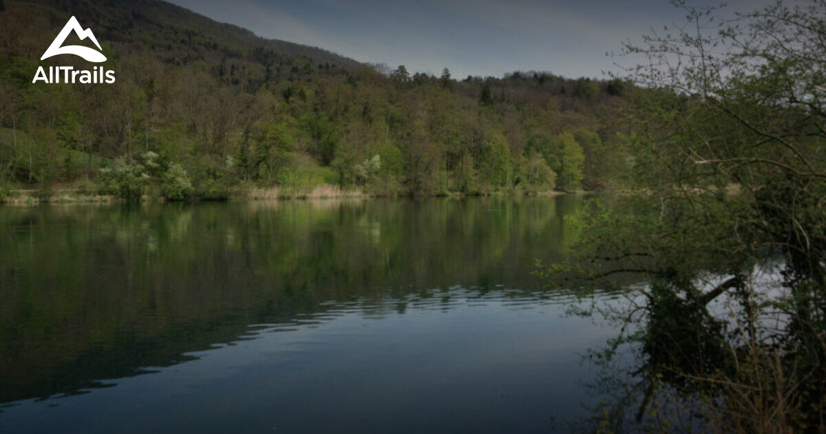 Best hikes and trails in Turgi | AllTrails