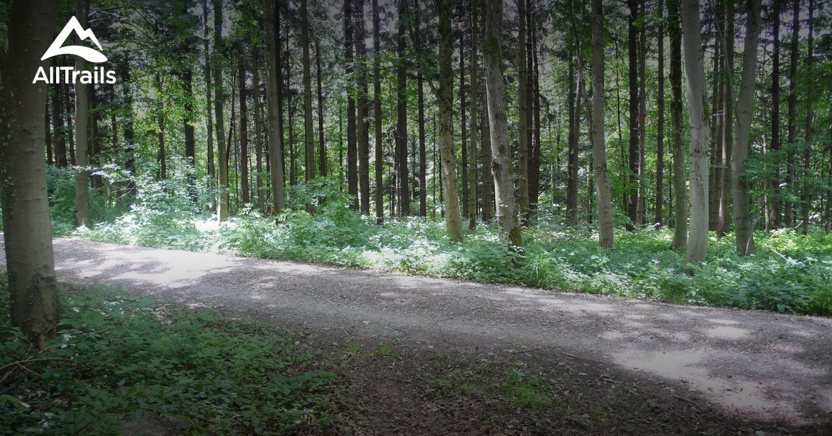 Best hikes and trails in Widen | AllTrails