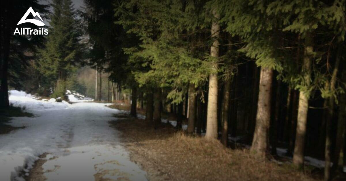 Zofingen: Die schönsten Routen zum Wandern | AllTrails