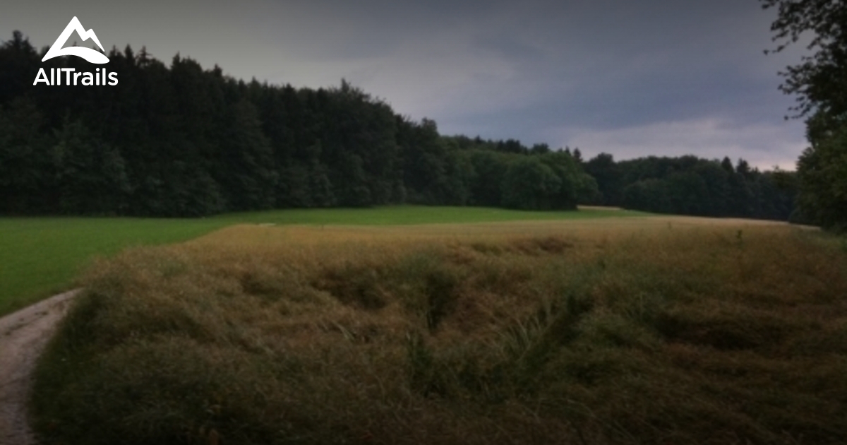 Liestal : les meilleures randonnées avec une cascade | AllTrails