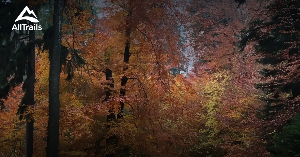 Best moderate trails in Oberdorf | AllTrails