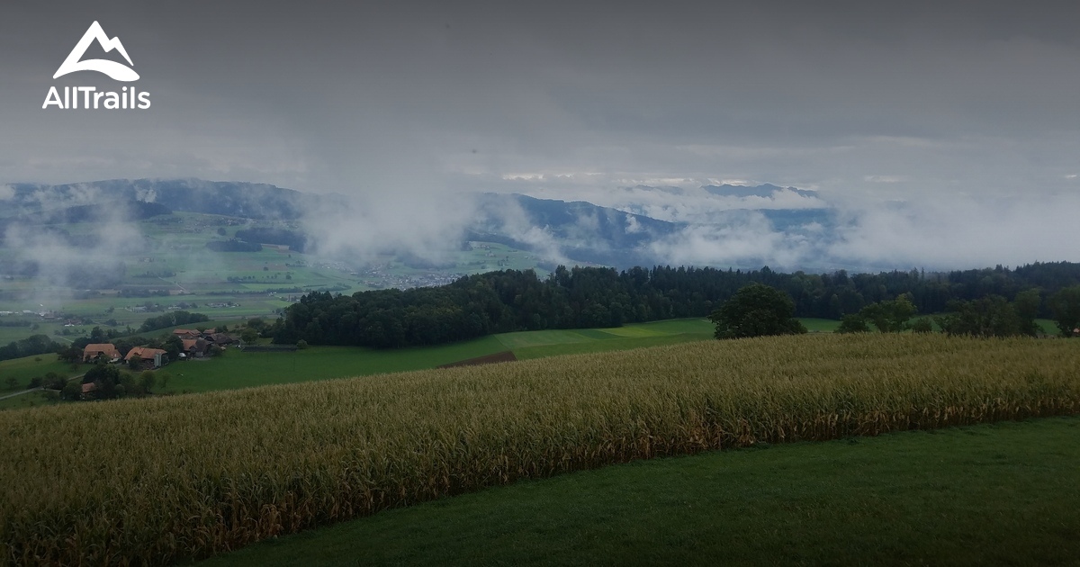 Best hikes and trails in Belp | AllTrails