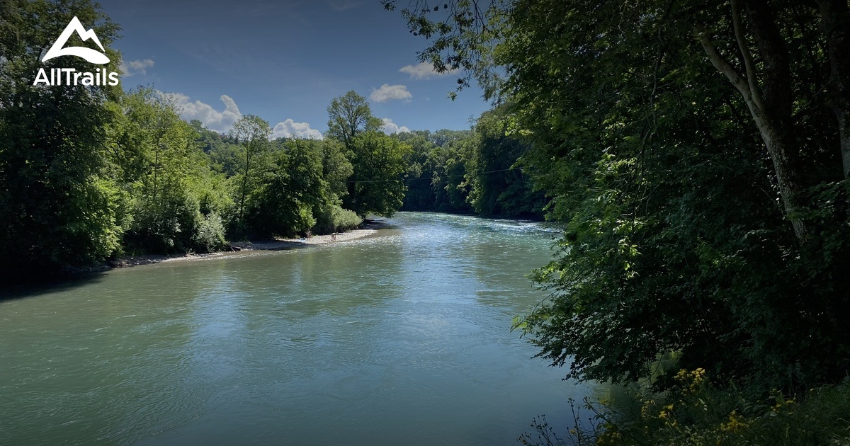Best hikes and trails in Bremgarten bei Bern | AllTrails