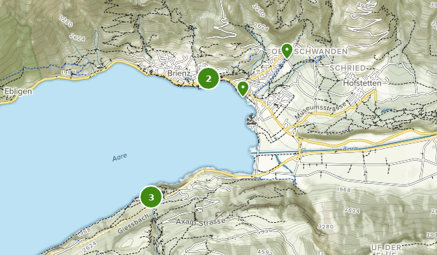 Best Trails near Brienz, Bern Switzerland | AllTrails