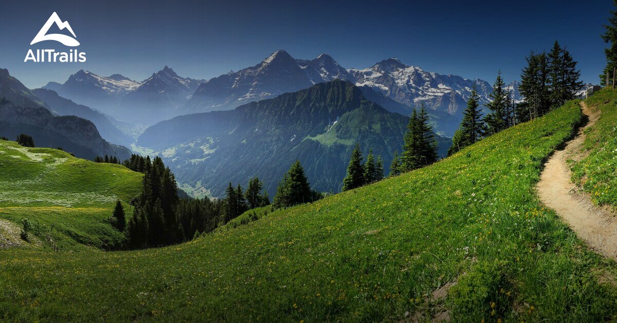 Gsteigwiler: Die schönsten Routen zum Wandern | AllTrails