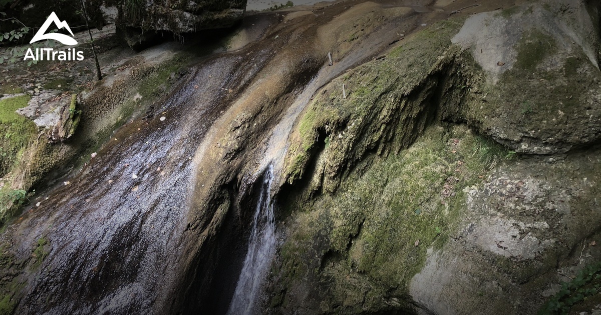 Best hikes and trails in Magglingen | AllTrails