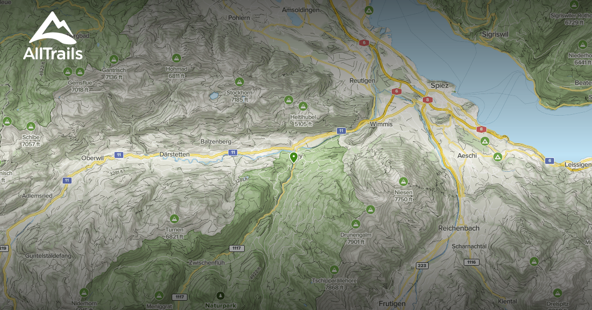 Best forest trails in Oey | AllTrails