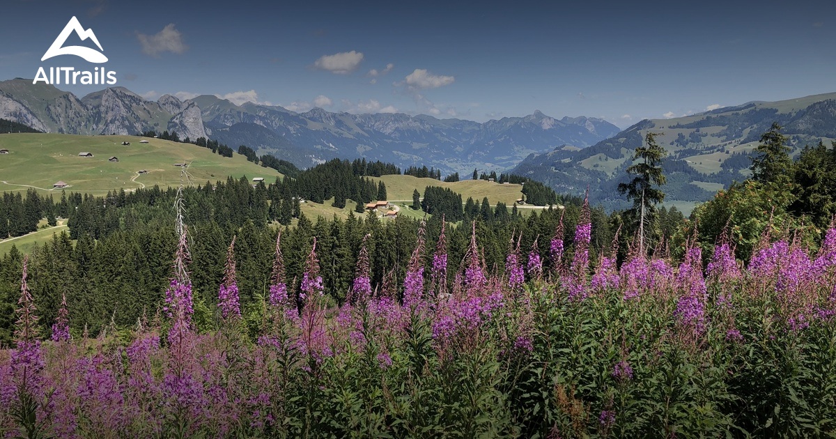 10 Best trails and hikes in Schwenden im Diemtigtal | AllTrails
