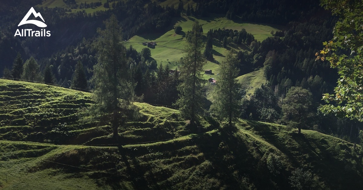 Die Besten Waldwege in Grüsch | AllTrails