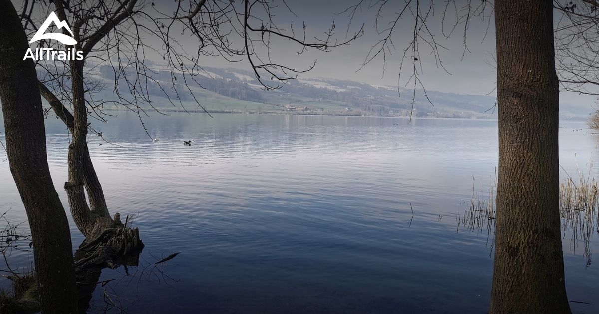 Best Hikes and Trails in Baldegg | AllTrails