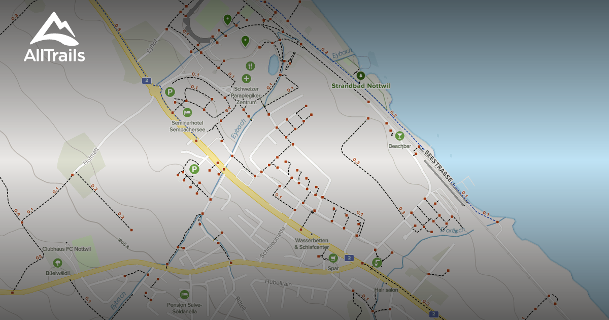 Bedste skovruter i Nottwil | AllTrails