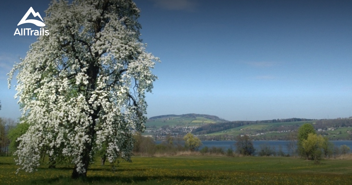 Best historic site trails in Sursee | AllTrails