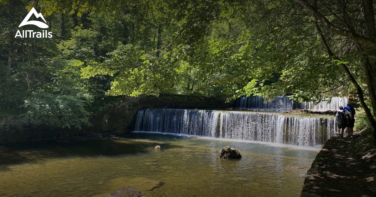 10 Best forest trails in Boudry | AllTrails