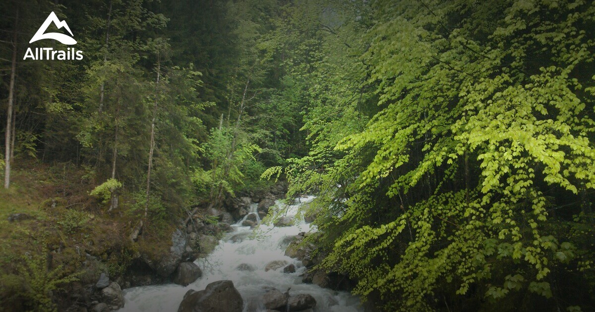 Wolfenschiessen : les meilleures balades | AllTrails