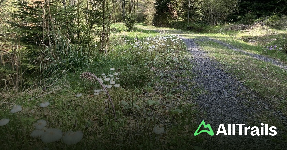 Best hikes and trails in Arth | AllTrails