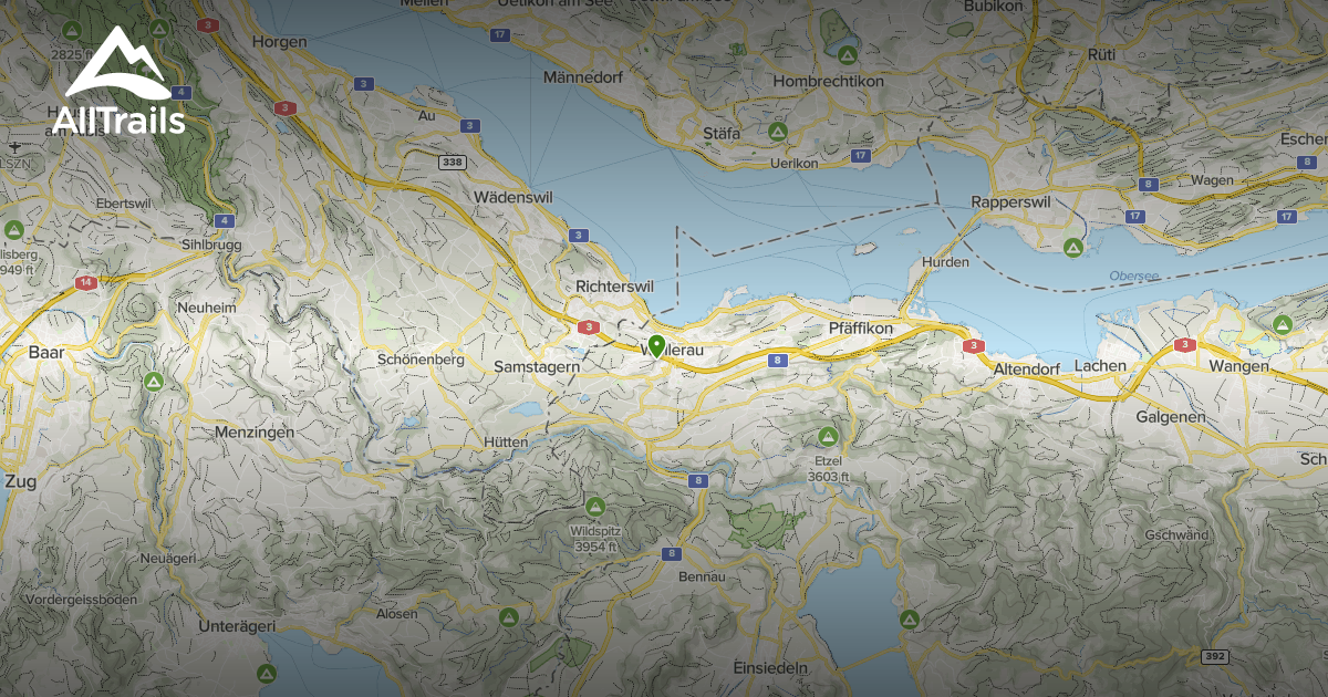 Best dog-friendly trails in Wollerau | AllTrails