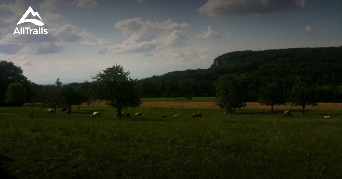 Best hikes and trails in Dornach | AllTrails
