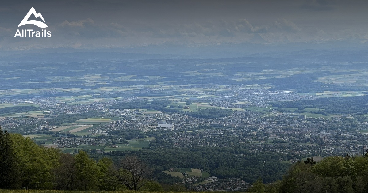 Langendorf: Die schönsten Routen zum Wandern | AllTrails