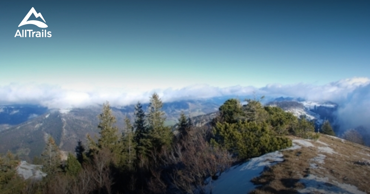 Selzach: Die schönsten Routen zum Wandern | AllTrails