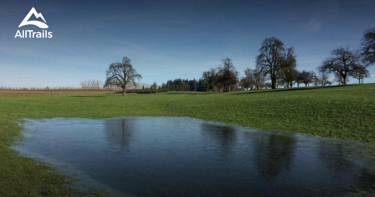 Best hikes and trails in Amriswil | AllTrails