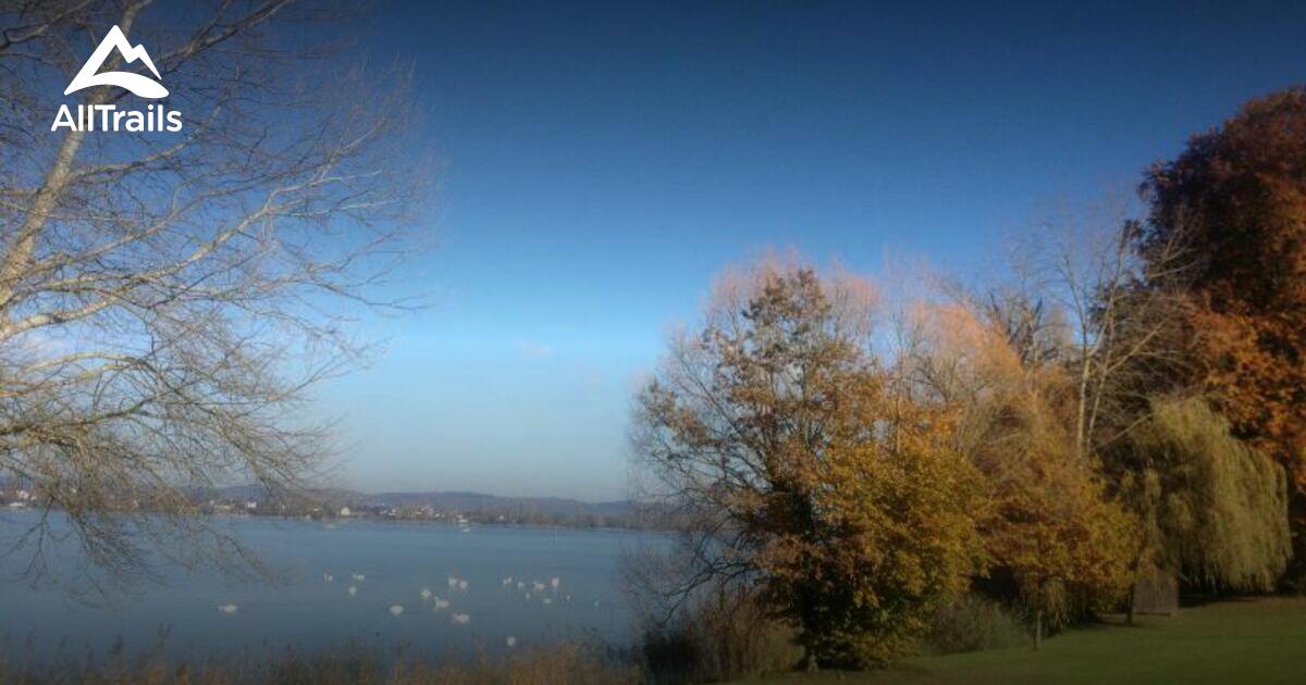 Best forest trails in Ermatingen | AllTrails